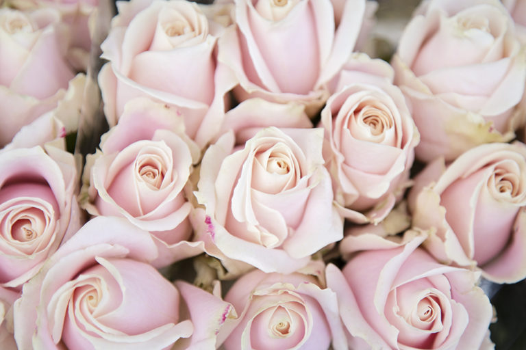 Pink Roses - Bon Bloemen
